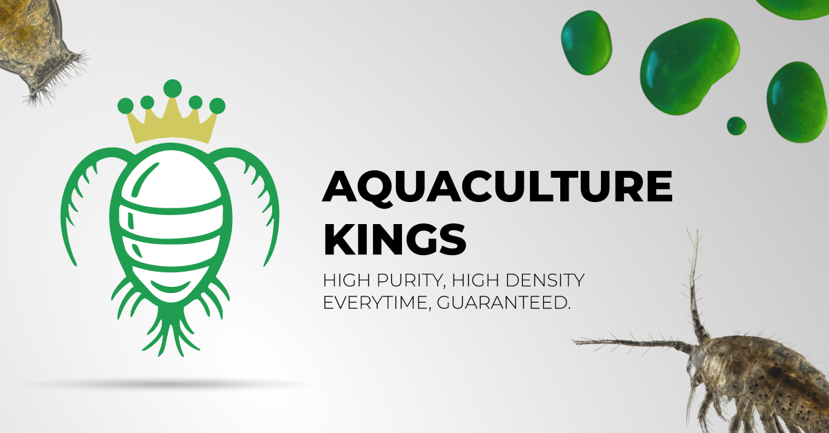 Live Copepods, Rotifers & Reef Care | Aquaculture Kings